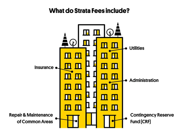 Strata Fees: A Complete Guide for Owners and Council Members